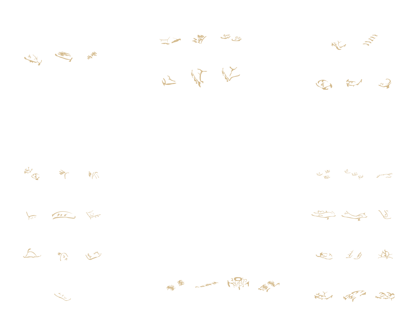Processing - Contentnea Farms